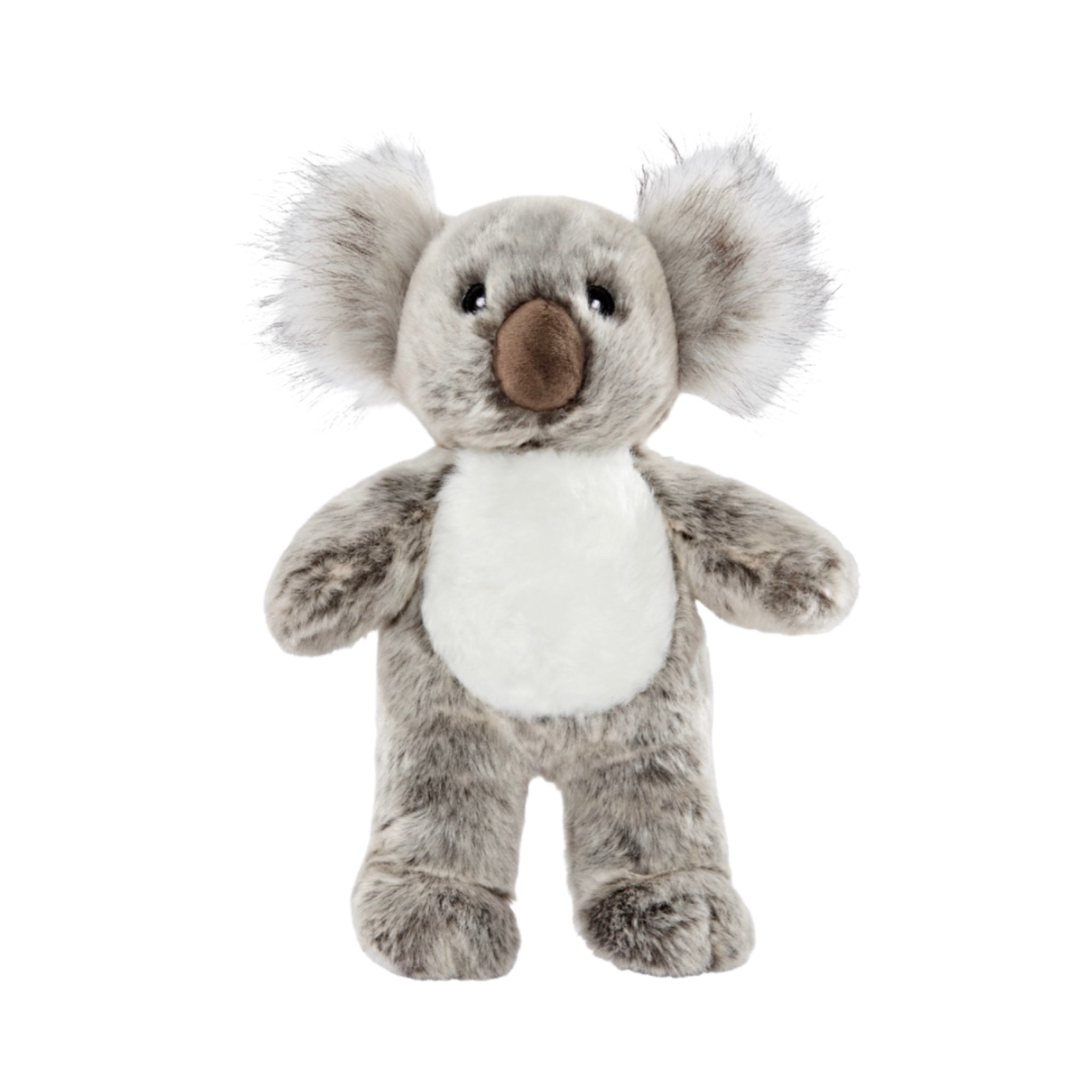 Doc Koala – Pawpaw 360